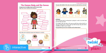My Senses | KS1 Primary Resources - Twinkl