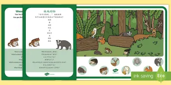 Woodland Animals Posters | twinkl.co.uk