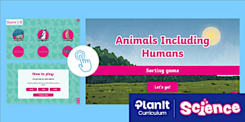 Animals including Humans - Year 3 Science Resources - Twinkl