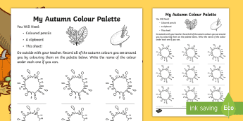 Autumn Worksheets | twinkl.co.uk