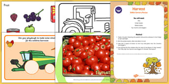 Harvest Activities EYFS | Festivals & Celebrations