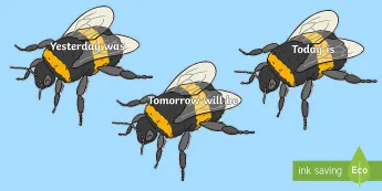 Bumble Bee Labels | twinkl.com.au