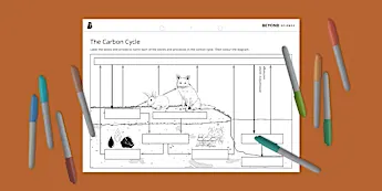 Carbon Cycle Resources | twinkl.com.au