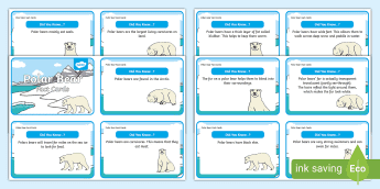 Polar Bears Resources | twinkl.co.uk