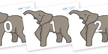 Elephant Images | twinkl.co.uk