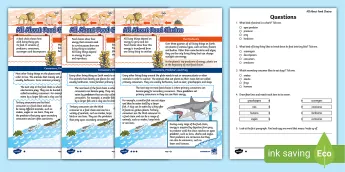 Food Chains Biology | twinkl.co.uk