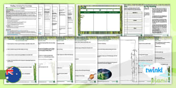 The Last Bamboo Stalk - Reading And Reading Comprehension