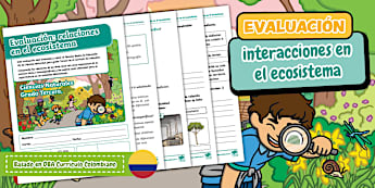 Ecosistemas y Flujos de energía - 4º de primaria - Twinkl