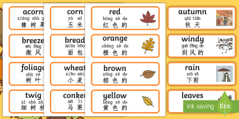 Chinese Vocabulary Cards | twinkl.co.uk