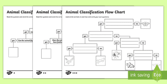 Animal Classifications | twinkl.co.uk