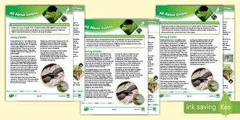 Snakes Reading Comprehensions | twinkl.com.au
