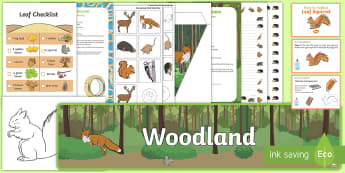 Woodland activities and Early Years Forest School Ideas