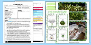 Planning Plants and Growth - Early Years Planting & Growing Activities