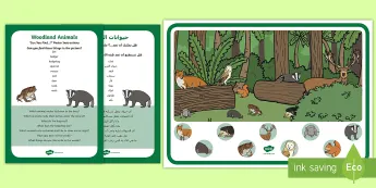 Woodland Animals Posters | twinkl.co.uk