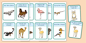 Gross Motor Skills | twinkl.com.au