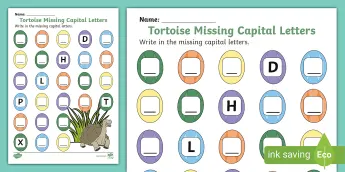 Tortoise Resources | twinkl.co.uk
