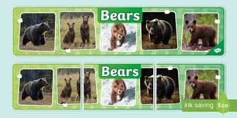 Bear Art Activities | twinkl.co.uk