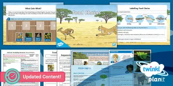 Food Chains Biology | twinkl.co.uk