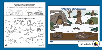 Hibernation Activities | twinkl.com