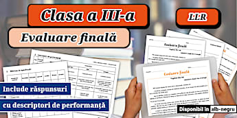 Test de evaluare clasa 3/III Limba română - Twinkl