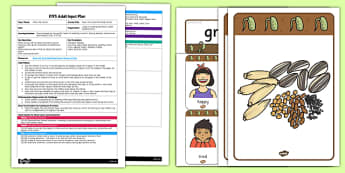 Bean Life Cycle - Early Years (EYFS) - Twinkl