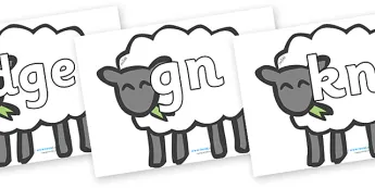 Sheep Displays | twinkl.com.au