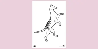 Tasmanian Tiger Artworks | twinkl.com.au