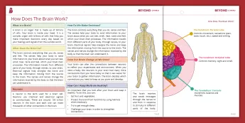 Science Infographic • Twinkl.com.au