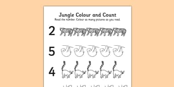 Jungle & Rainforest Activities and Games Primary Resources