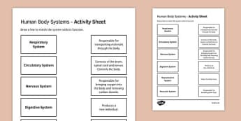 Organ Systems Teaching Resources | KS3 Biology | Beyond