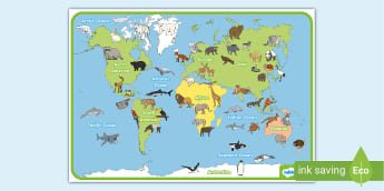 Understanding The World EYFS - ELG Activities - Twinkl