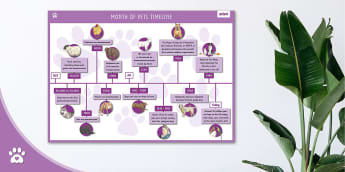 History of Pets - History of Domestication - Twinkl Pets