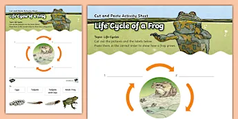 Biology Activity Sheet • Twinkl.com.au