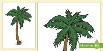 Palm Tree Artworks | twinkl.co.uk