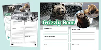 Animals Fact File Template • Twinkl.com.au