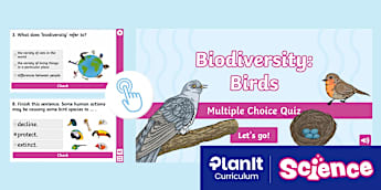 Biodiversity - Birds Year Three - 3 - Science Lesson Plans for Primary ...