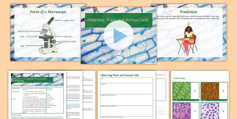 Microscopes Teaching Resources| KS3 Biology | Beyond