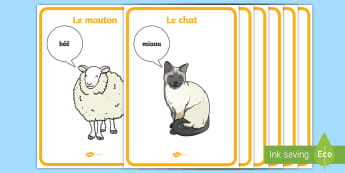 Connaître les besoins essentiels de quelques animaux et végétaux