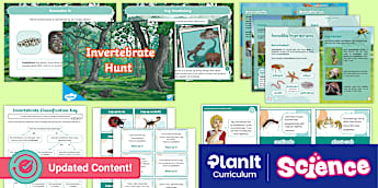 Living Things and Their Habitats - Year 4 Science Resources