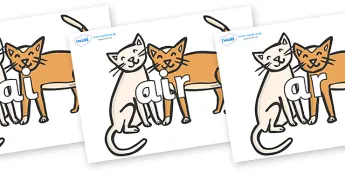 Cats Activity Sheets | twinkl.co.uk