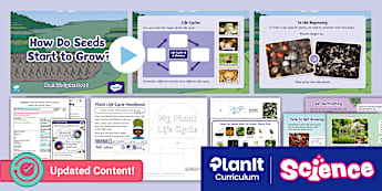 Plants - Year 2 Science Resources - Twinkl