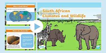Wildlife Presentations | twinkl.com.au