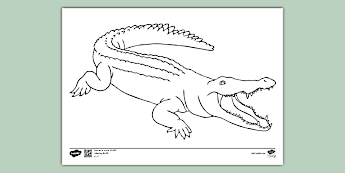 Crocodile Colouring Sheets | twinkl.com.au