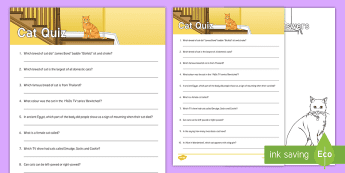 Cats & Kittens | twinkl.co.uk