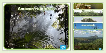 Amazon Rainforests | twinkl.co.uk