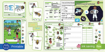 Homophones | Phonics | English | South Africa | Twinkl