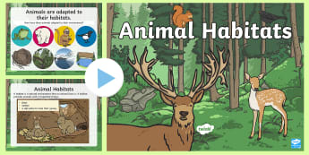 Habitats and Environments | Living Things | KS2 Science