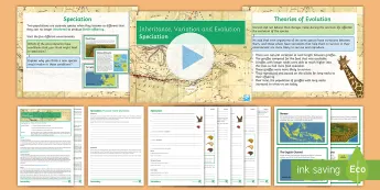 Variation Lessons | twinkl.com.au