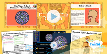 Animals including Humans - Year 4 Science Resources