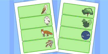 Drawer Peg Labels Stories Primary Resources, name, label, story,